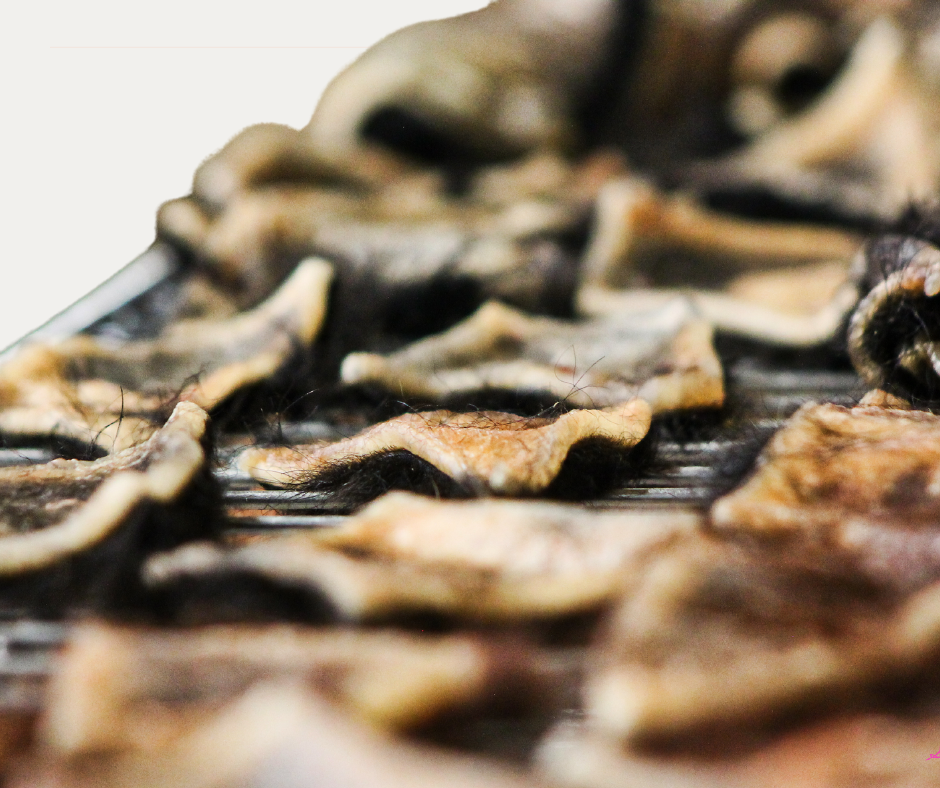 Chips, Chunks, & Scraps - Ugly Chews