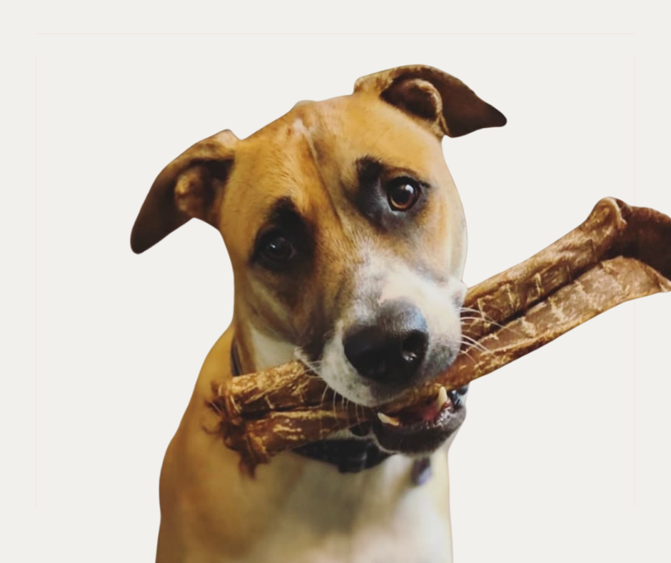 Chips, Chunks, & Scraps - Ugly Chews